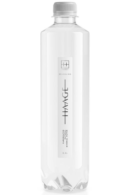 Liviko e-pood. Haage Mulliga 0,5L PET