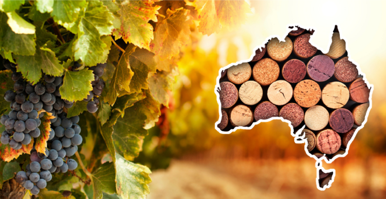 Liviko e-pood. Veinid eukalüptide varjust